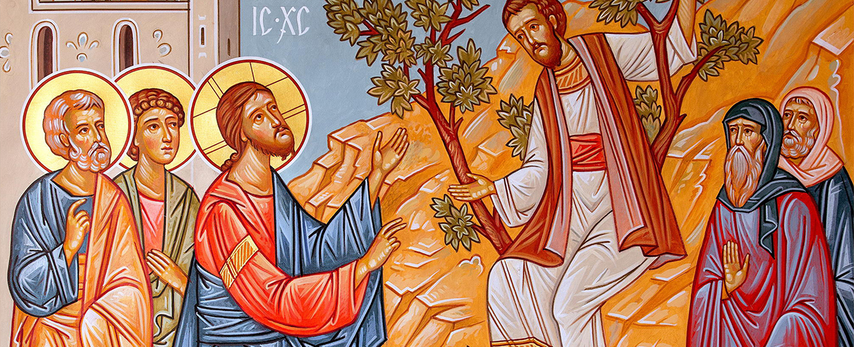 Zaccheus, come down